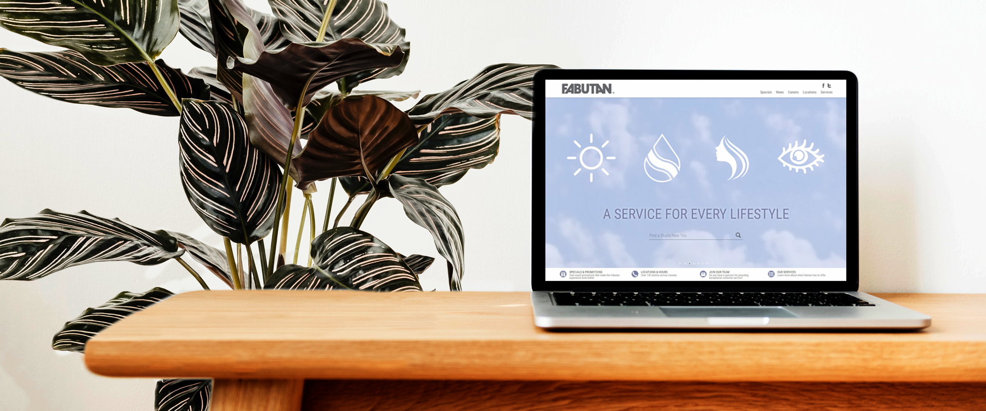 Book Online! | News & Events | Fabutan