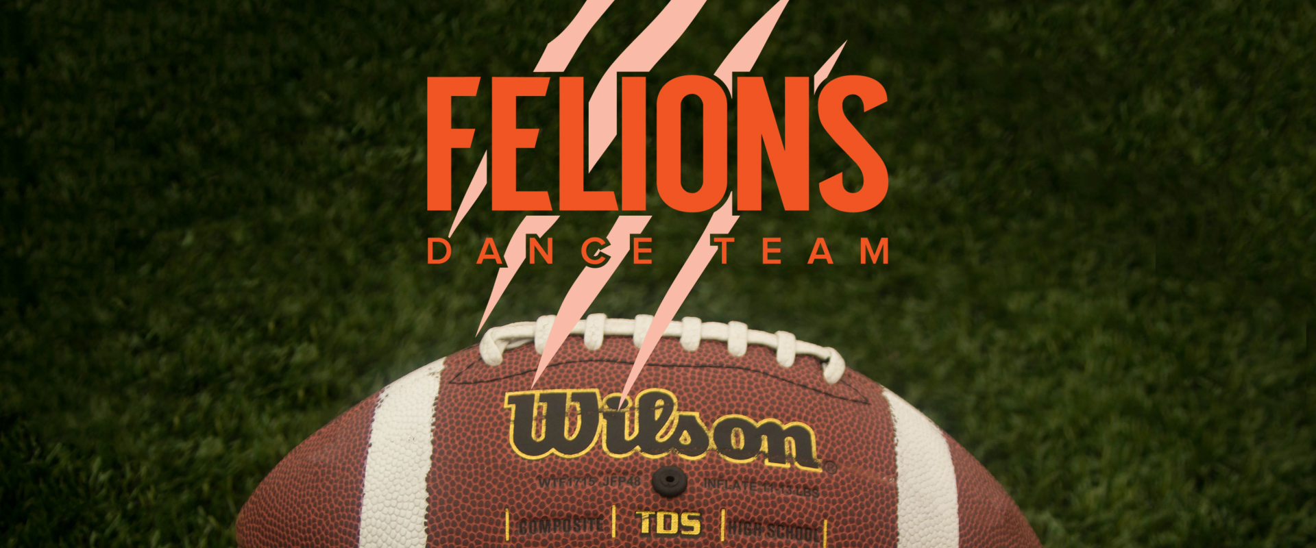 BC Felions Partnership 2018 | News & Events | Fabutan